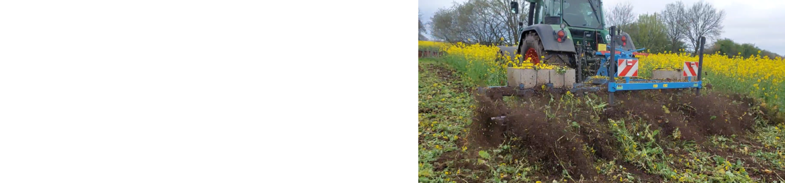 Heilers Messerwalze | Lewe Landmaschinen